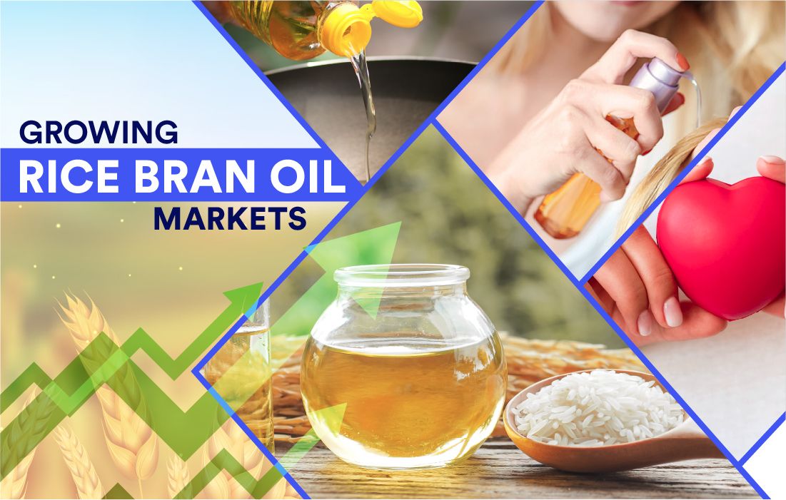Rice Bran Oil Production Process: Step-by-Step Guide
