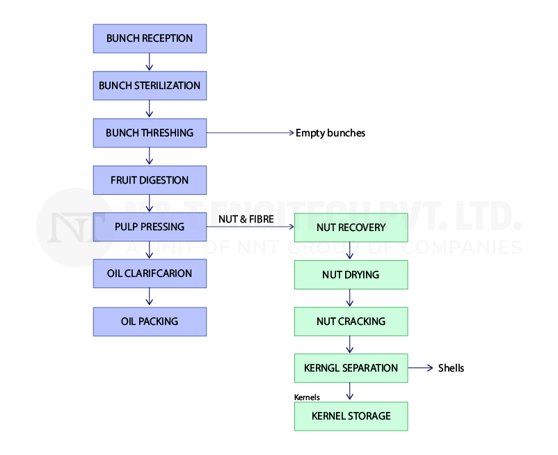 A Comprehensive Guide to the Palm Oil Production Process.