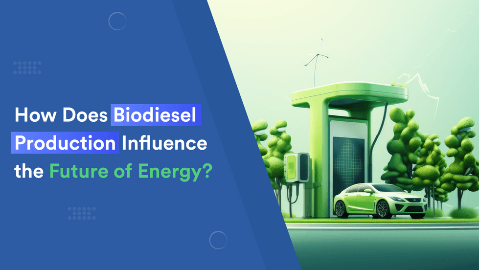Biodiesel Fuel For The Future
