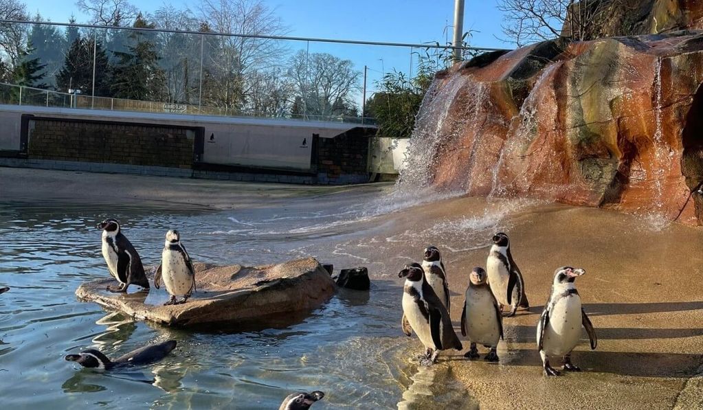 Seven best safari parks in the UK to explore