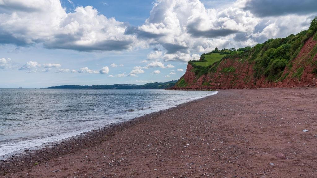 19 dog-friendly beaches in Devon