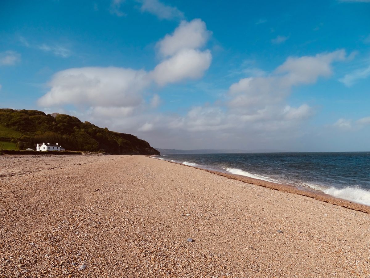19 dog-friendly beaches in Devon