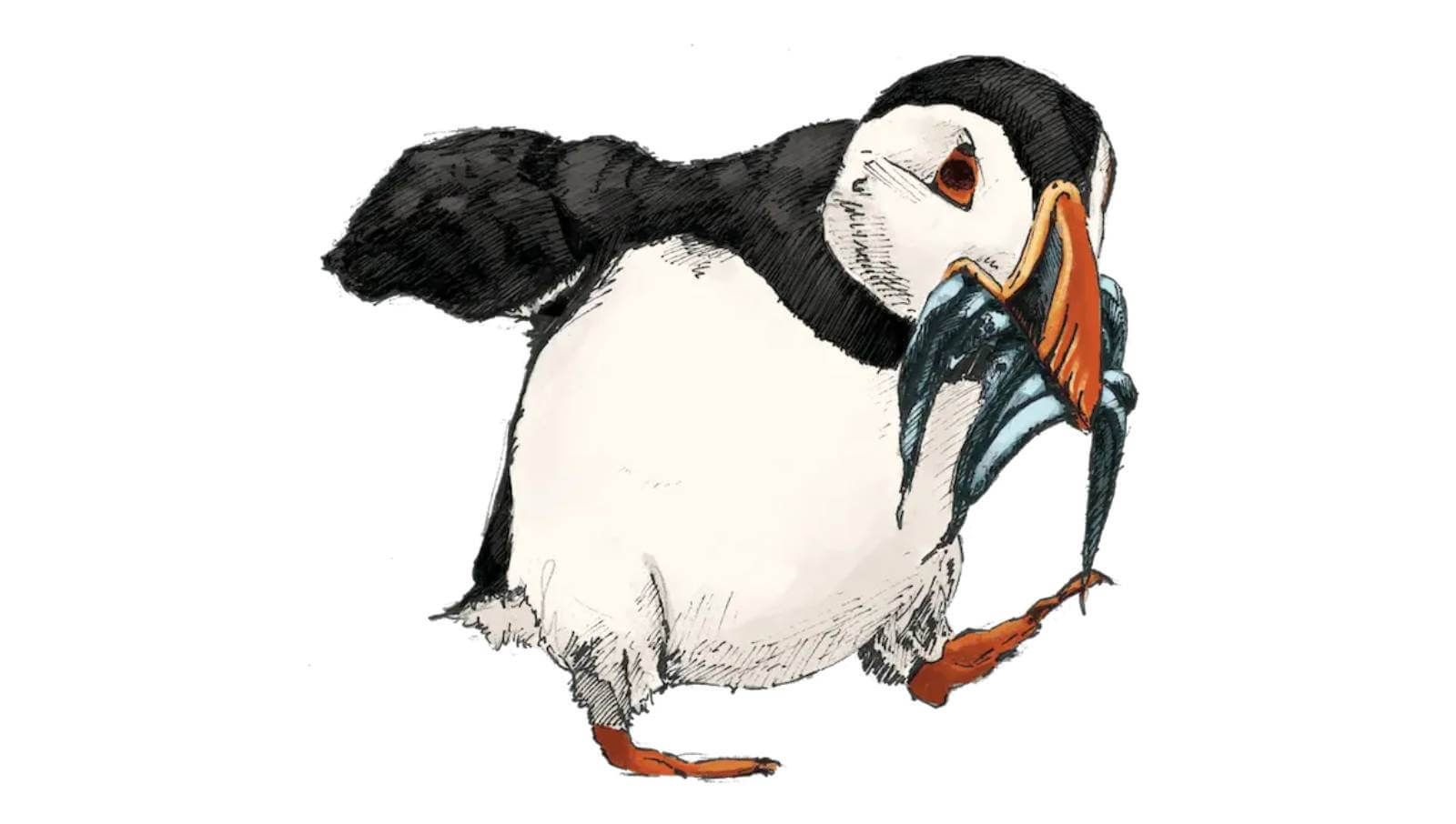 UK Safari - Snaptrip blog