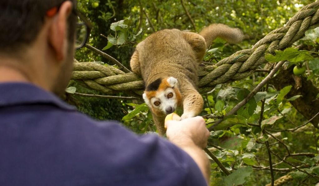 Seven best safari parks in the UK to explore