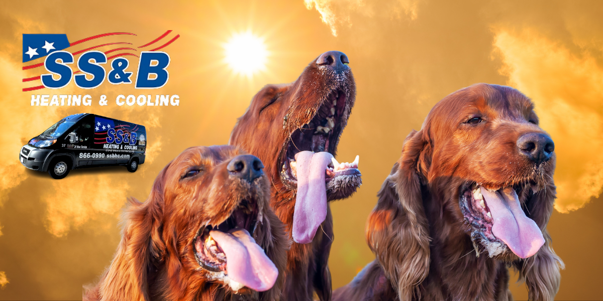 Prepare Your HVAC for Summer Heatwaves in Springfield, MO | SS&B ...