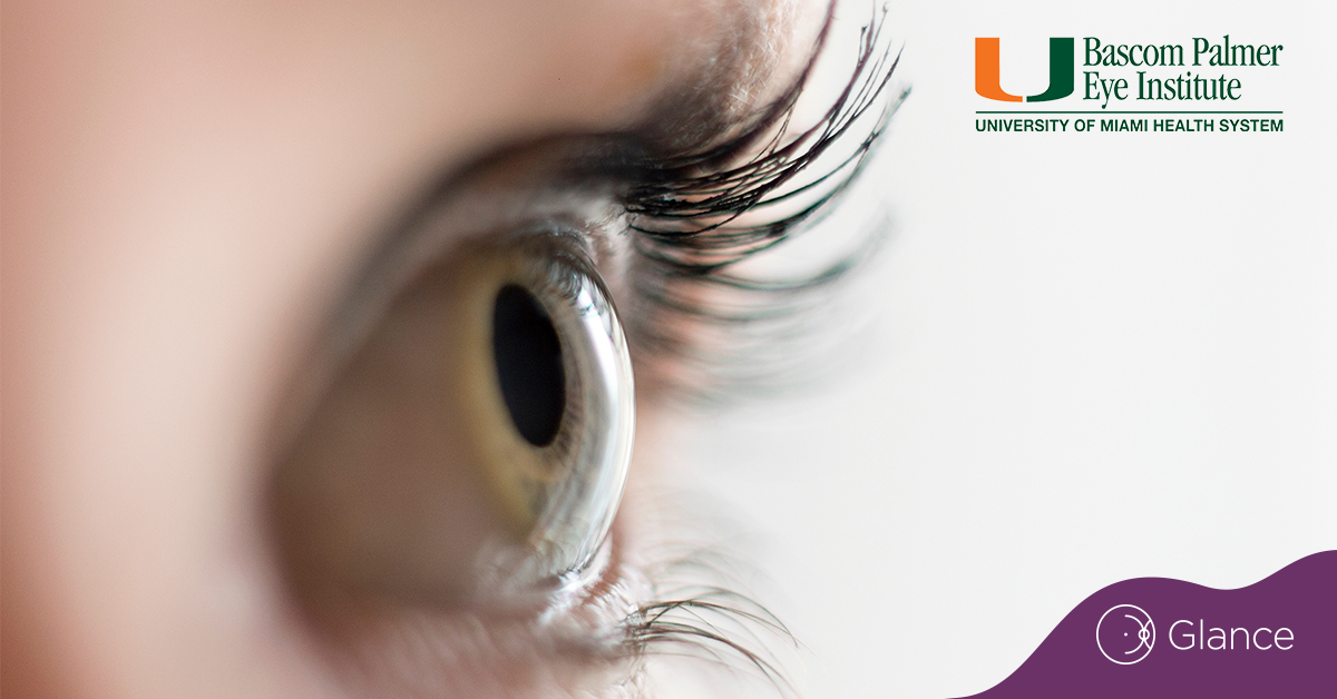 Bascom Palmer launches whole eye transplant project