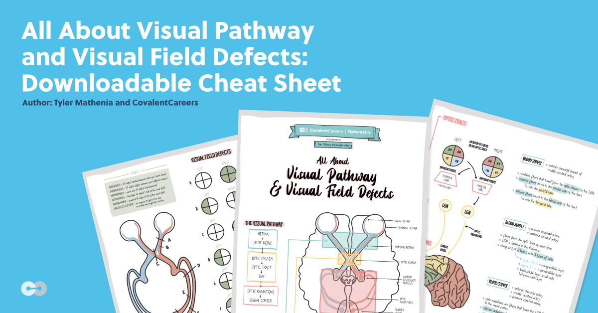 All About Visual Pathway and Visual Field Defects: Downloadable Cheat Sheet