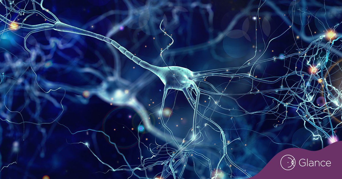 Researchers identify impact of serotonin on visual information process