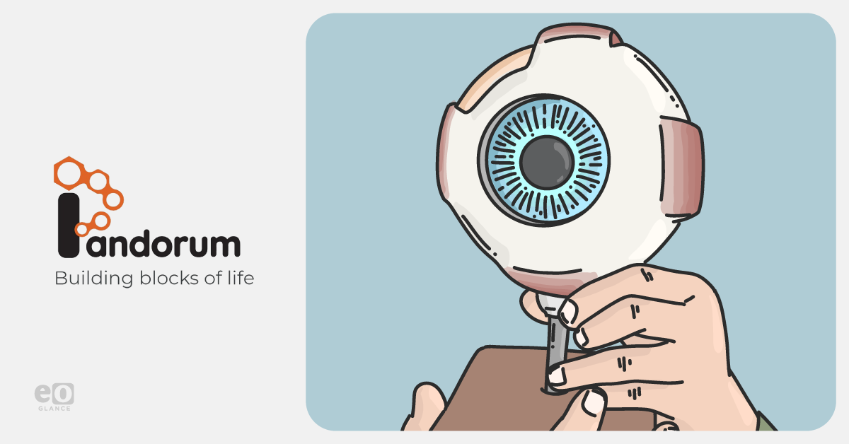 Pandorum Tech raises $18M to expand operations for bioengineered cornea