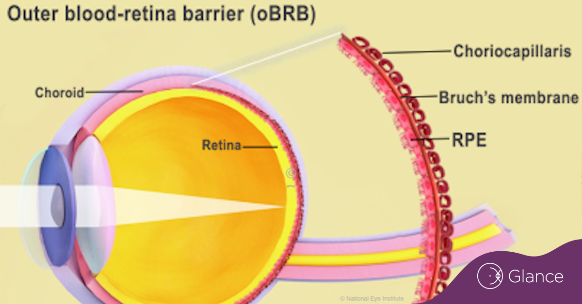 Researchers create eye tissue using 3D bioprinting