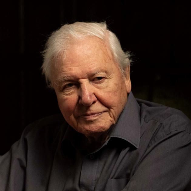 David Attenborough | Cappelen Damm