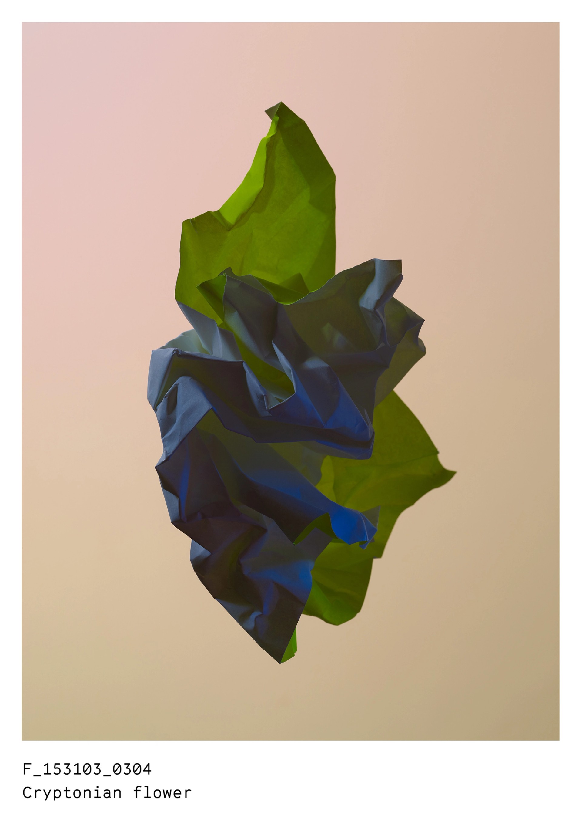 Thomas Brown Photography & Visuals Director