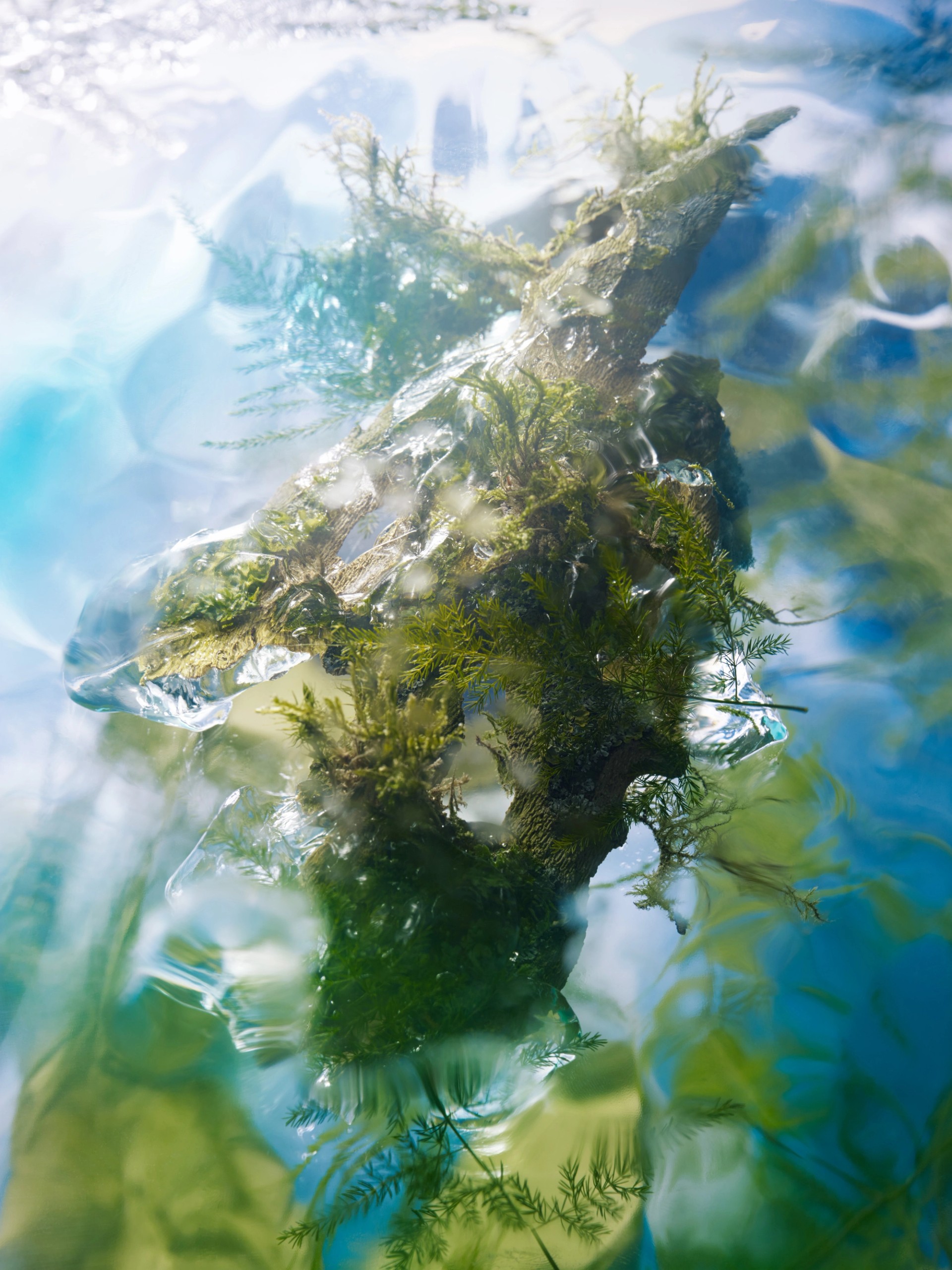 Thomas Brown Photography & Visuals Director