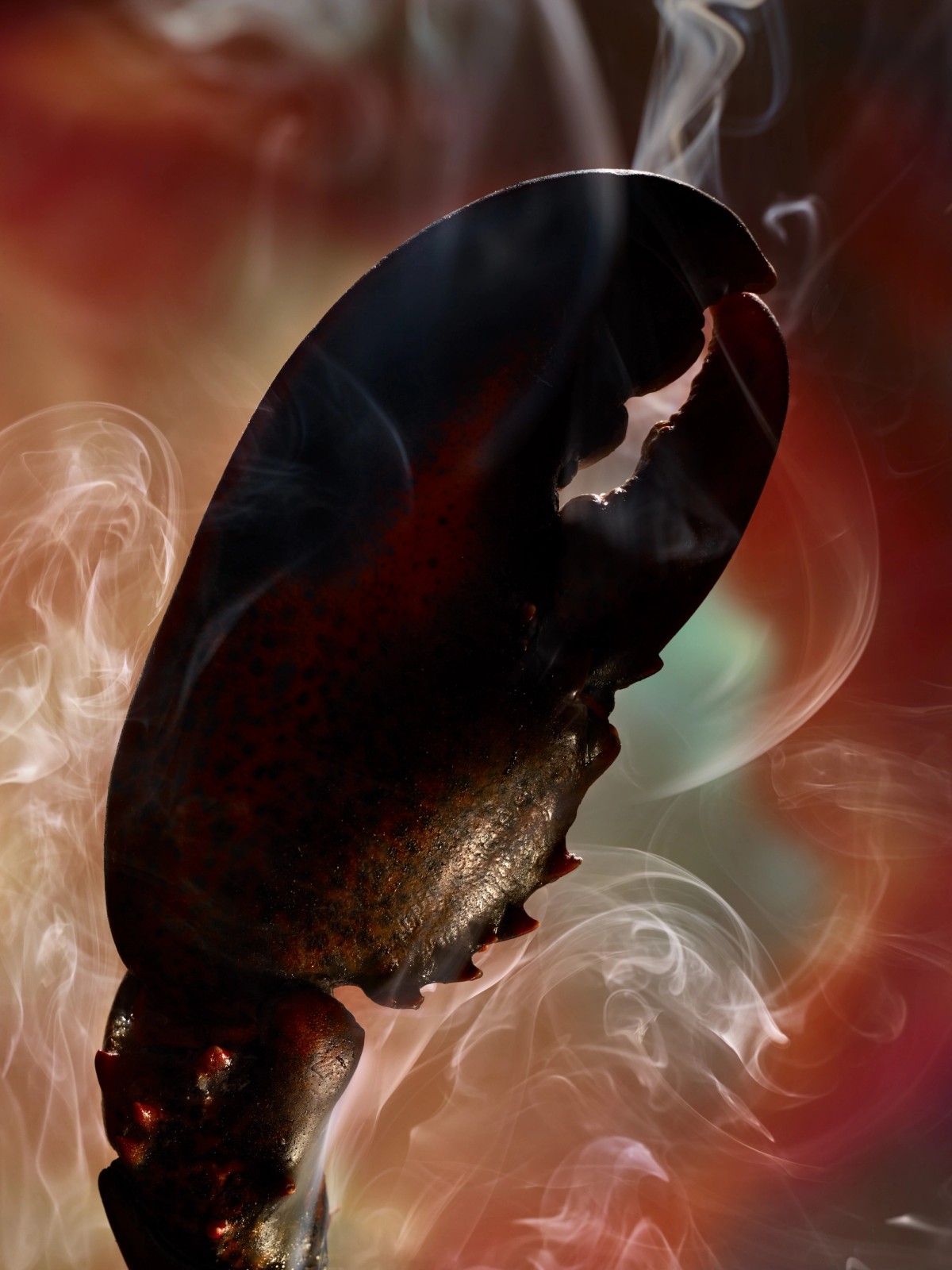 Thomas Brown Photography & Visuals Director