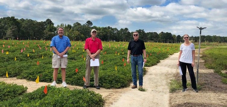 Peanut Genomics: Q&A with Dr. Corley Holbrook