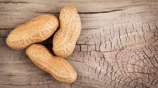 Mythbusters: Debunking Myths about GMO Peanuts