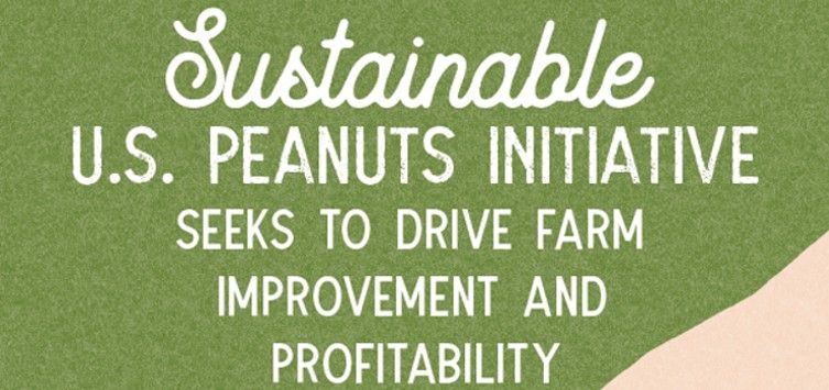 Driving Farm Sustainability and Profitability with Peanuts