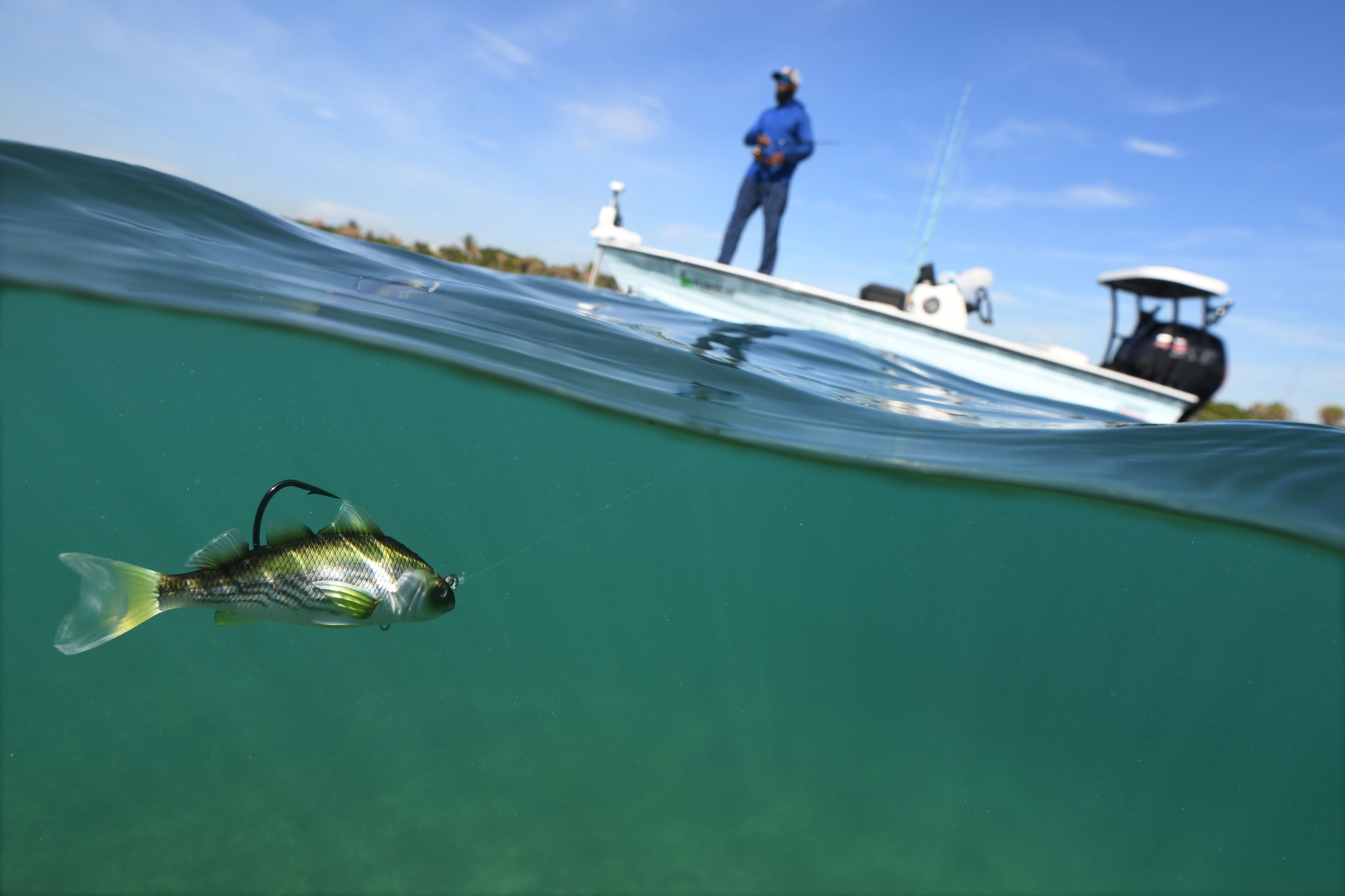 Inspiration | Mustad Fishing