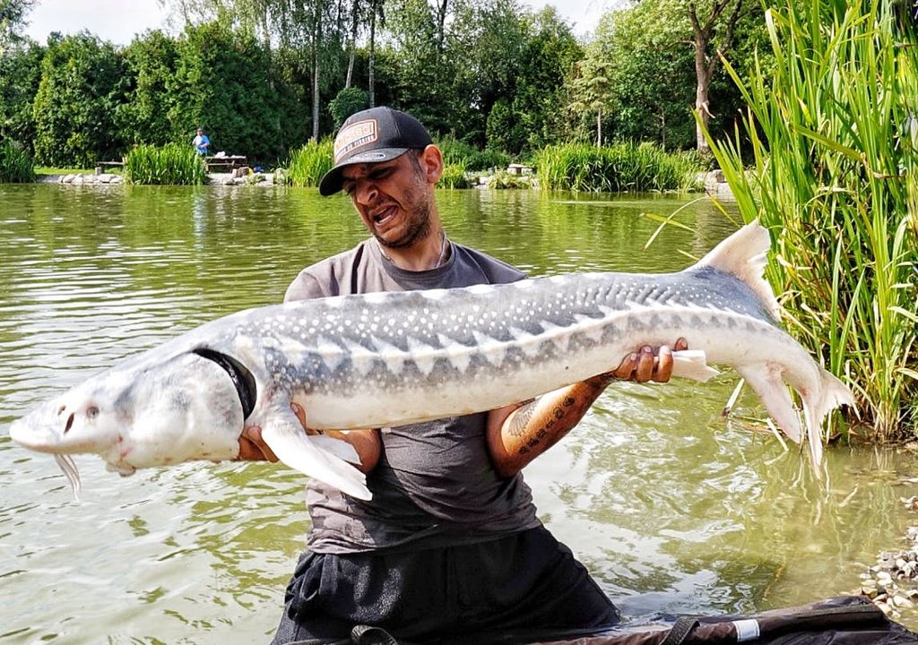 Late Night Catfish Bite | Mustad Fishing