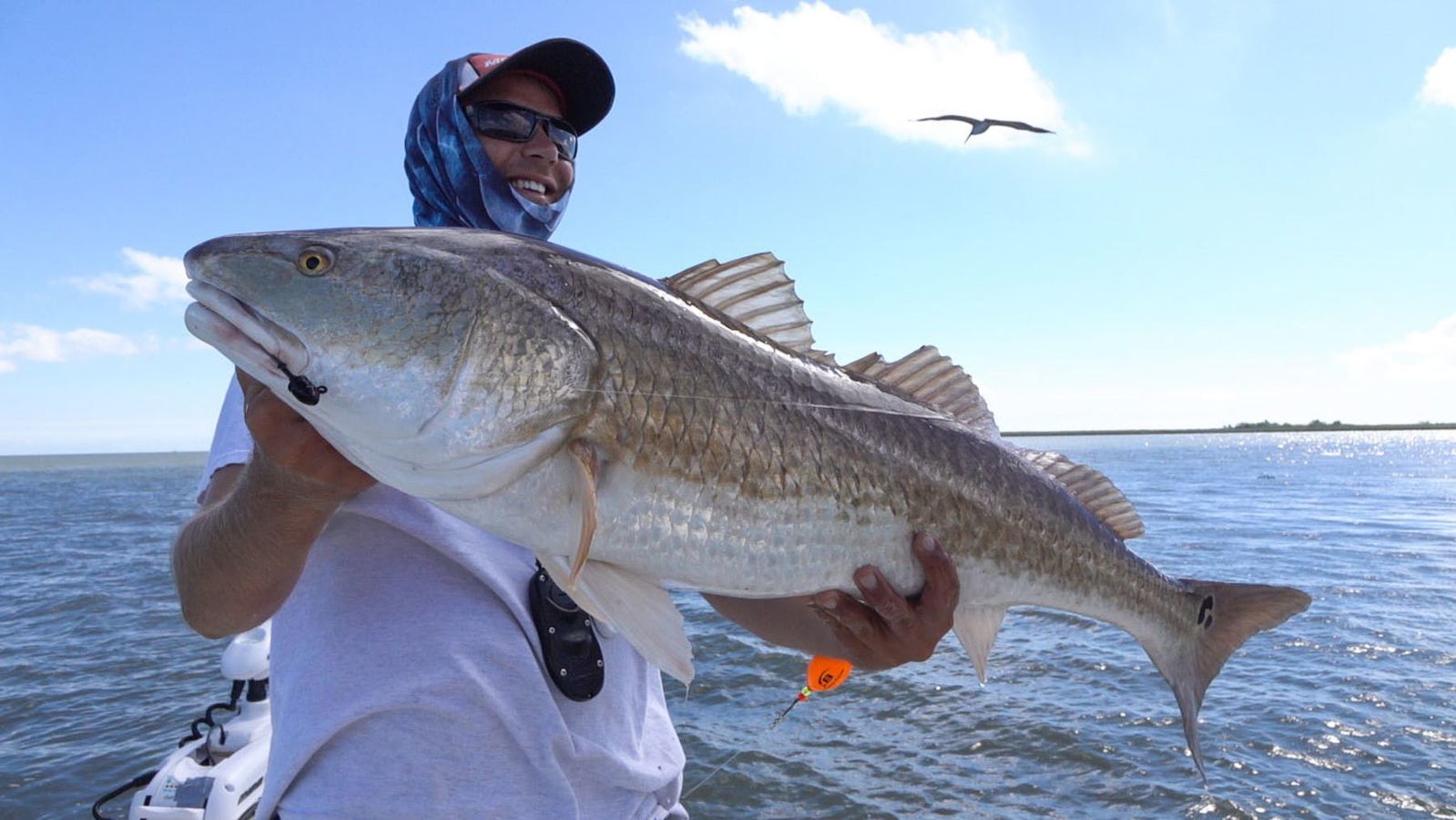 Inspiration | Mustad Fishing