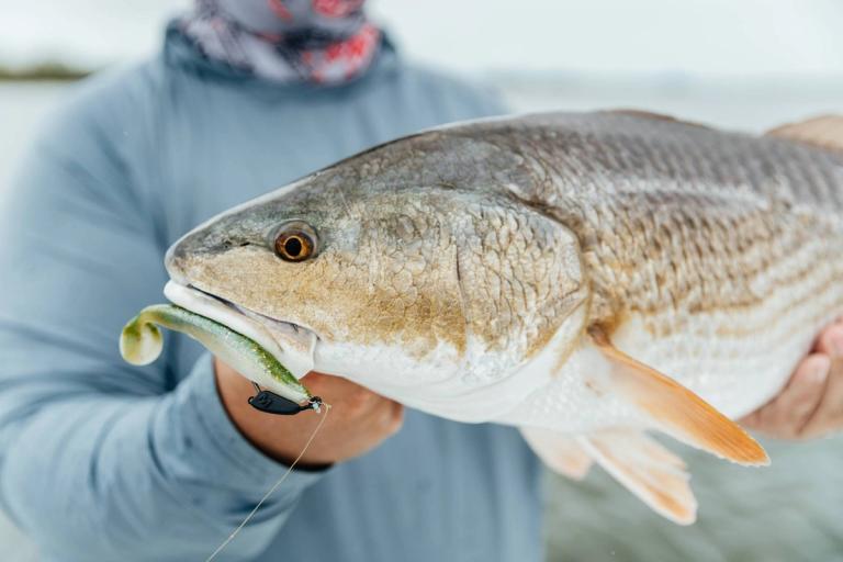 Front Page | Mustad Fishing