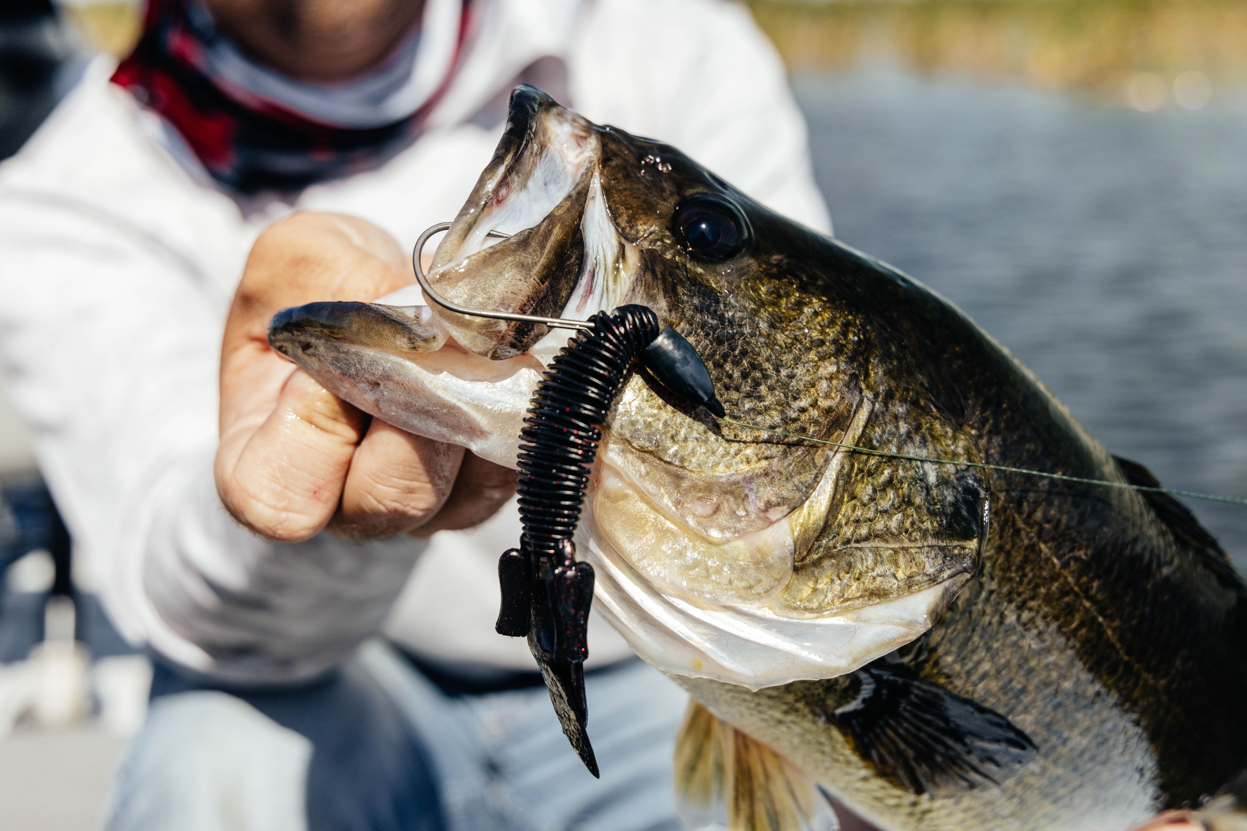 Front Page | Mustad Fishing