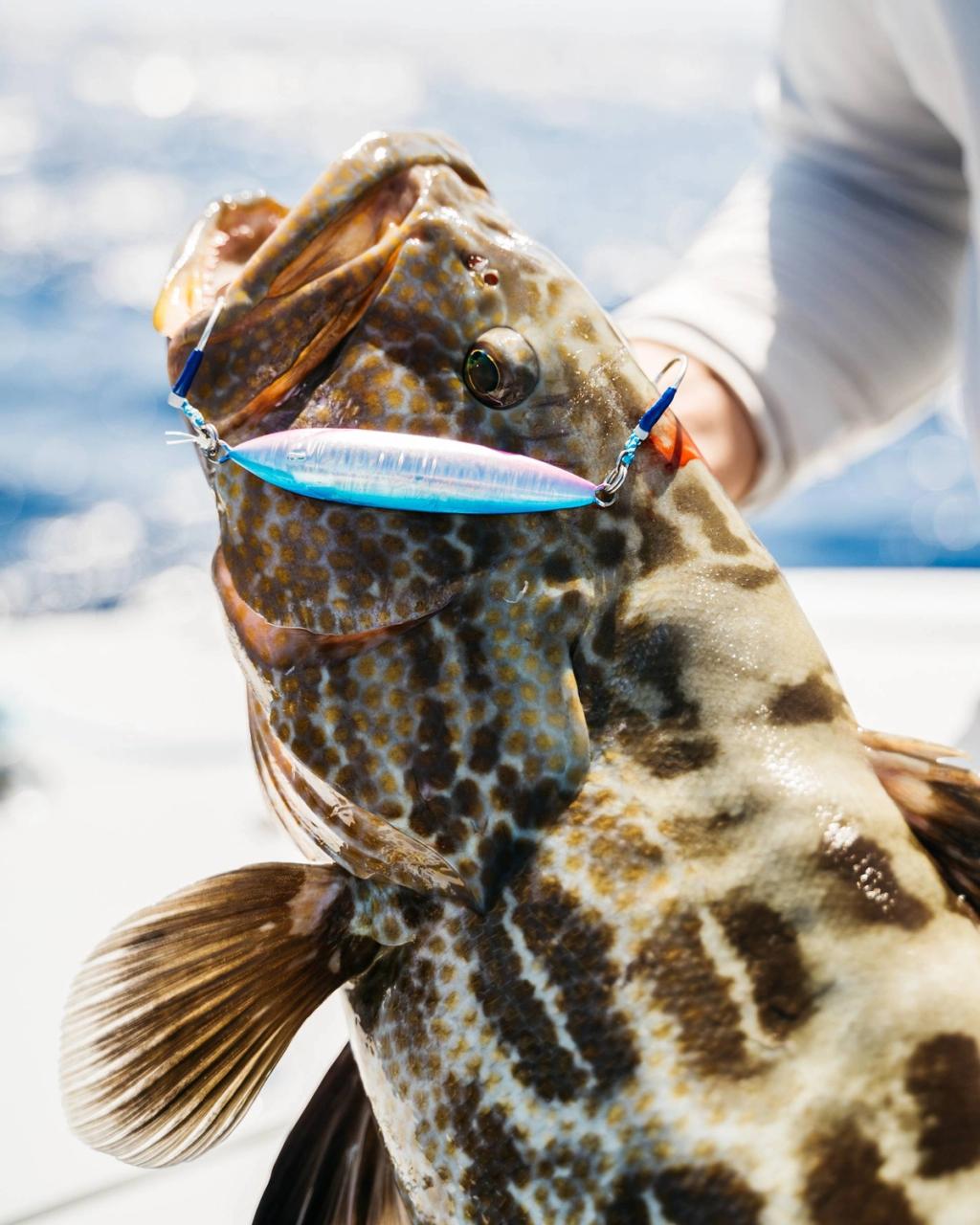 Front Page | Mustad Fishing