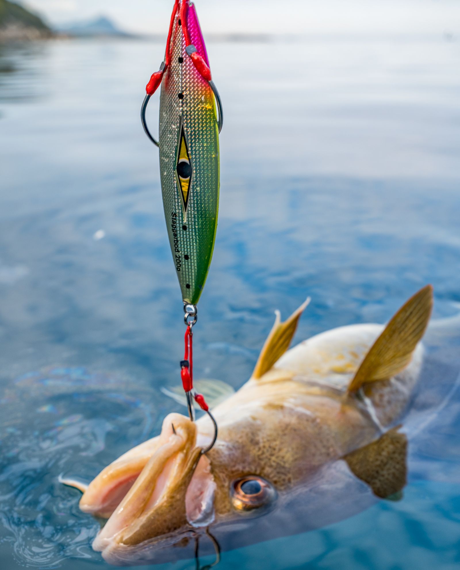 Front Page | Mustad Fishing