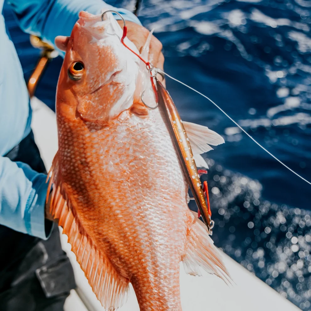 Mustad Fishing | Home