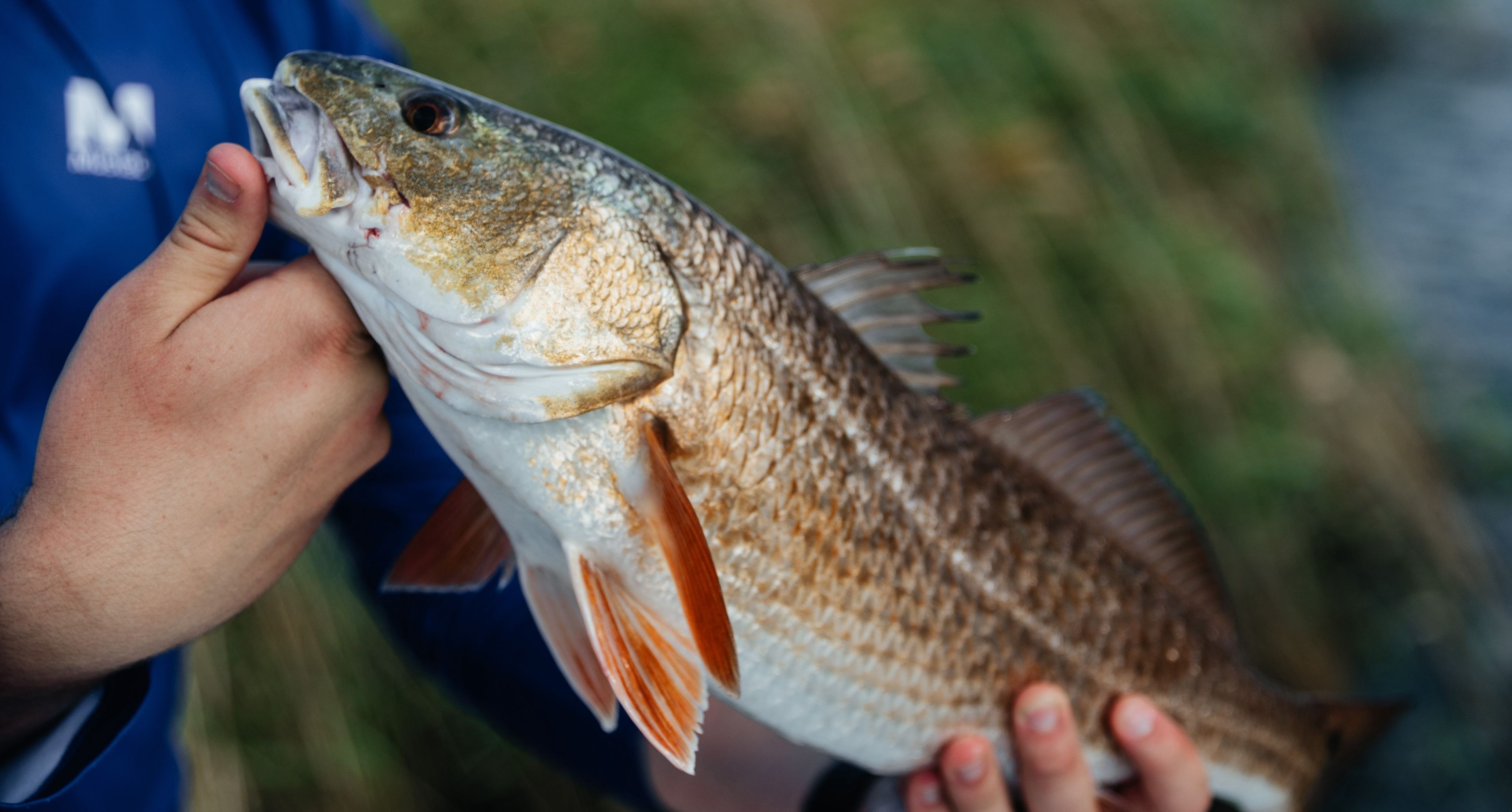 Mustad Fishing | Strategic Soft Plastic Rigging For Saltwater