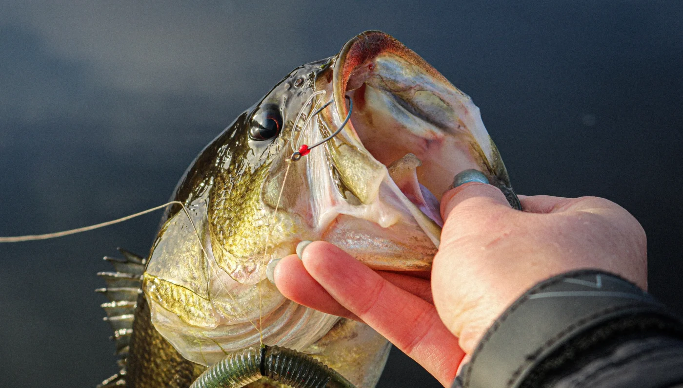 Mustad Fishing | Home