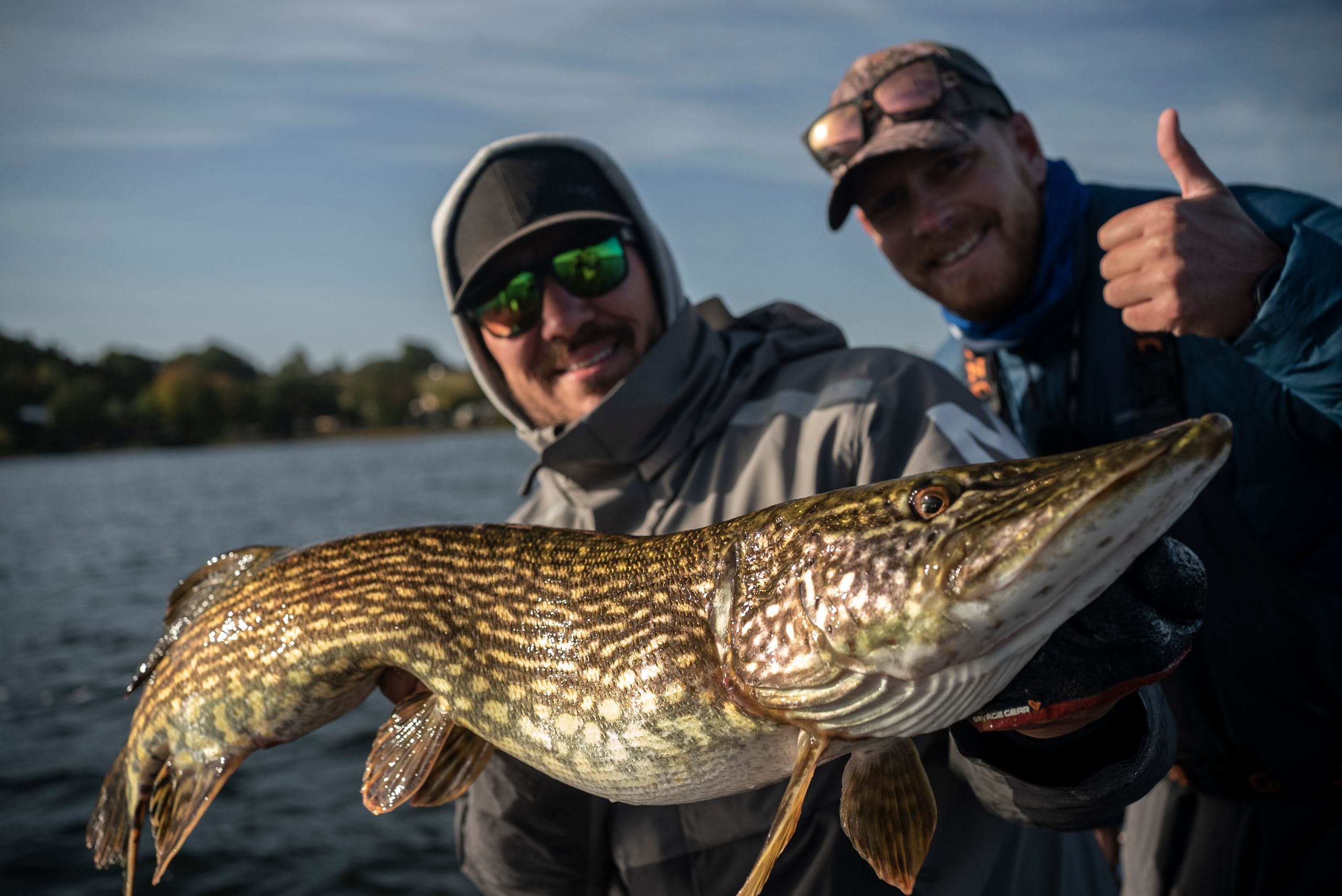 LIVESCOPE PIKE HUNT | Mustad Fishing