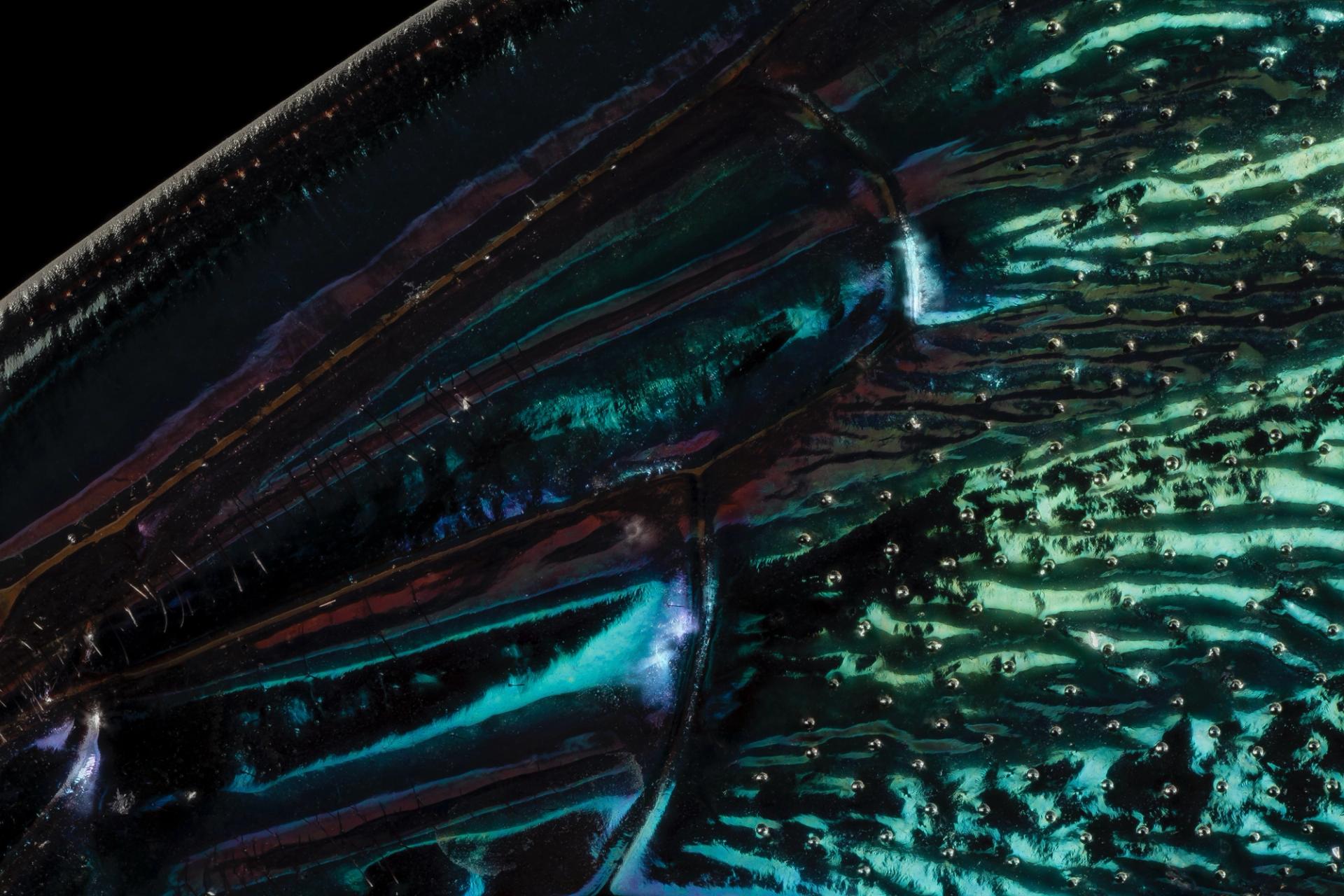 Home - Paradise Textiles