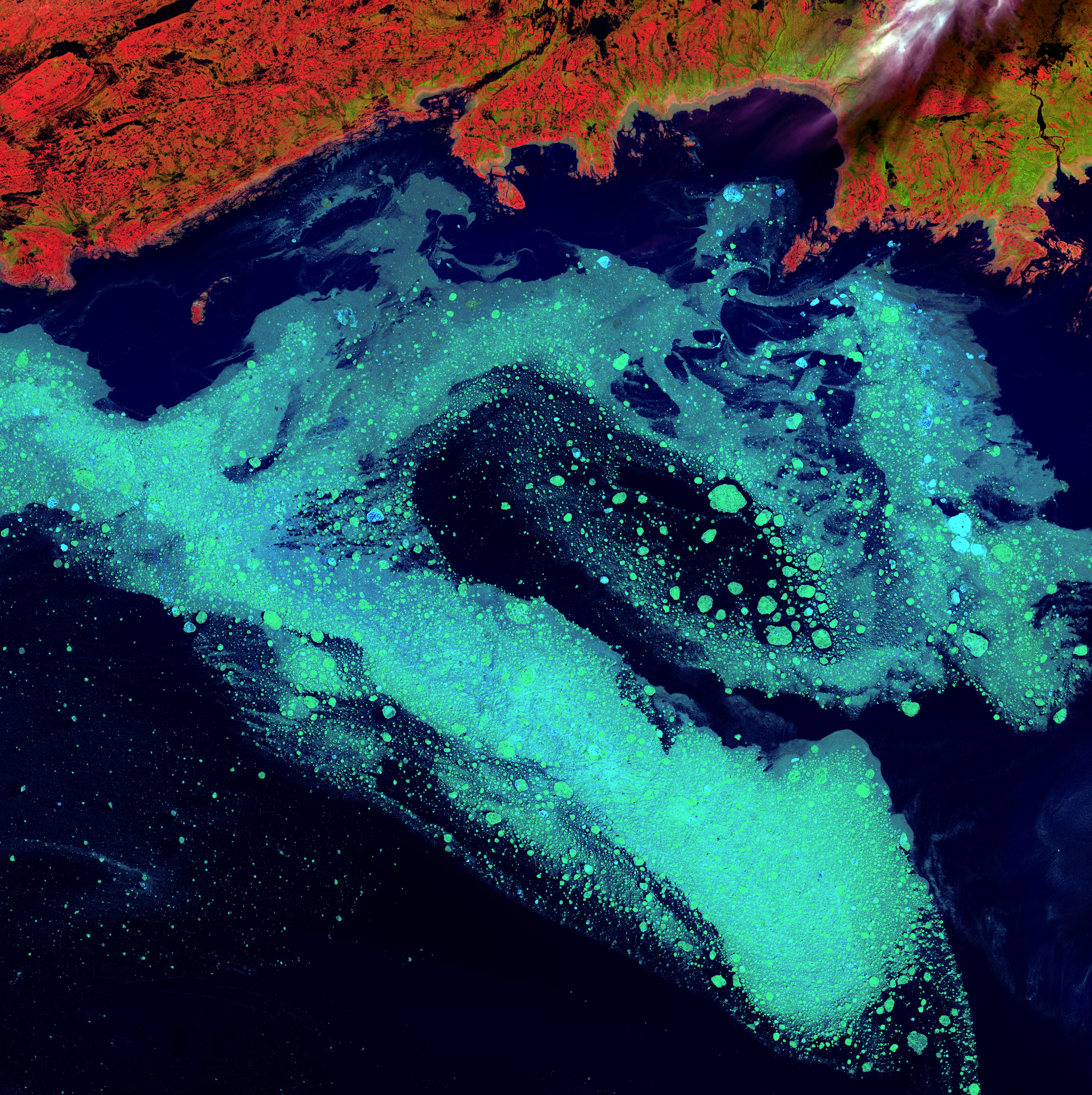 Home - Paradise Textiles