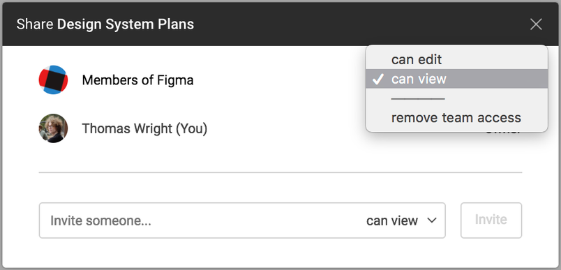 Advanced Project Permissions for design systems | Figma Blog
