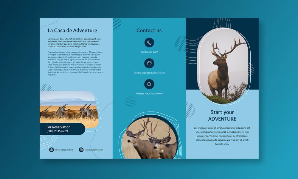 32 Brochure Examples and Templates | Figma