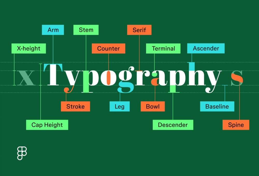 What is Typography Anatomy? A Typeface Design Guide | Figma