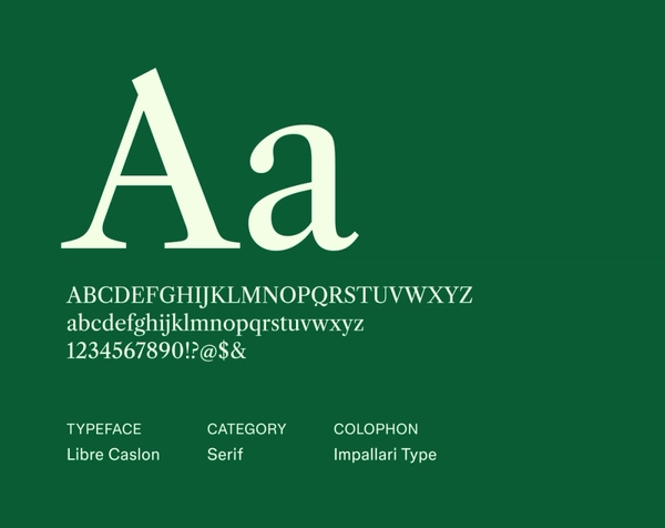 31 Best Serif Fonts to Elevate Your Designs | Figma