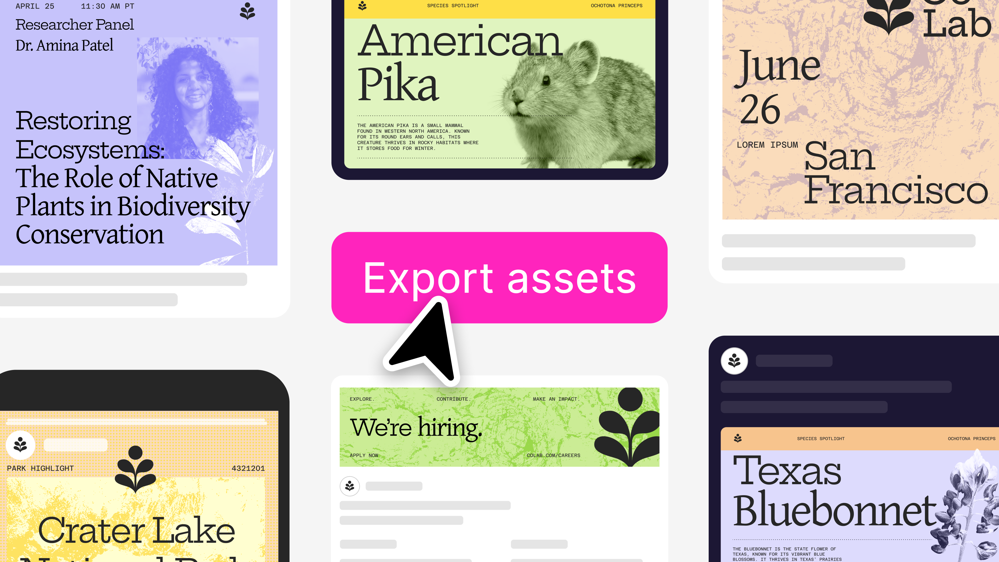 Figma Buzz Is Where Design and Marketing Teams Co-create | Figma Blog