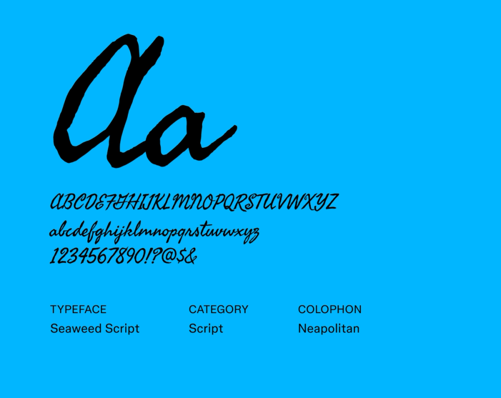 29 Best Script Fonts & How To Choose One | Figma