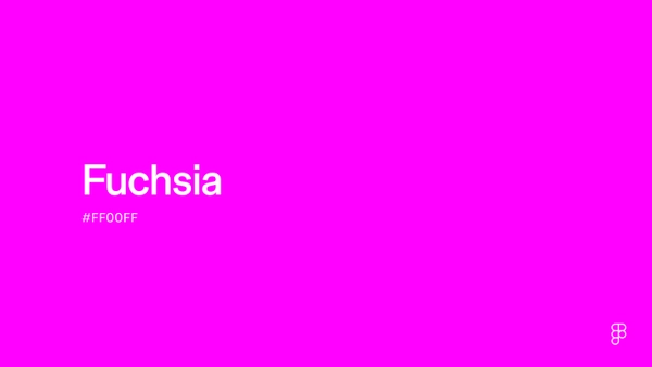 Couleur Fuchsia : Code Hex, Palettes & Signification | Figma