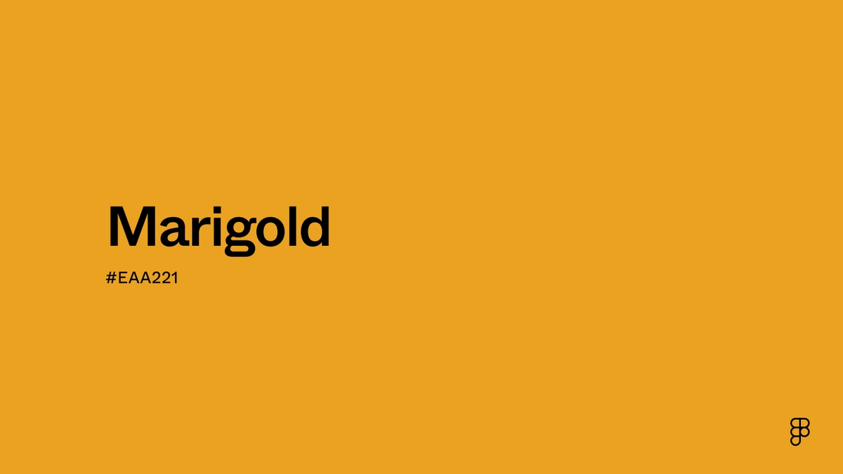 Marigold Color: Hex Code, Palettes & Meaning | Figma