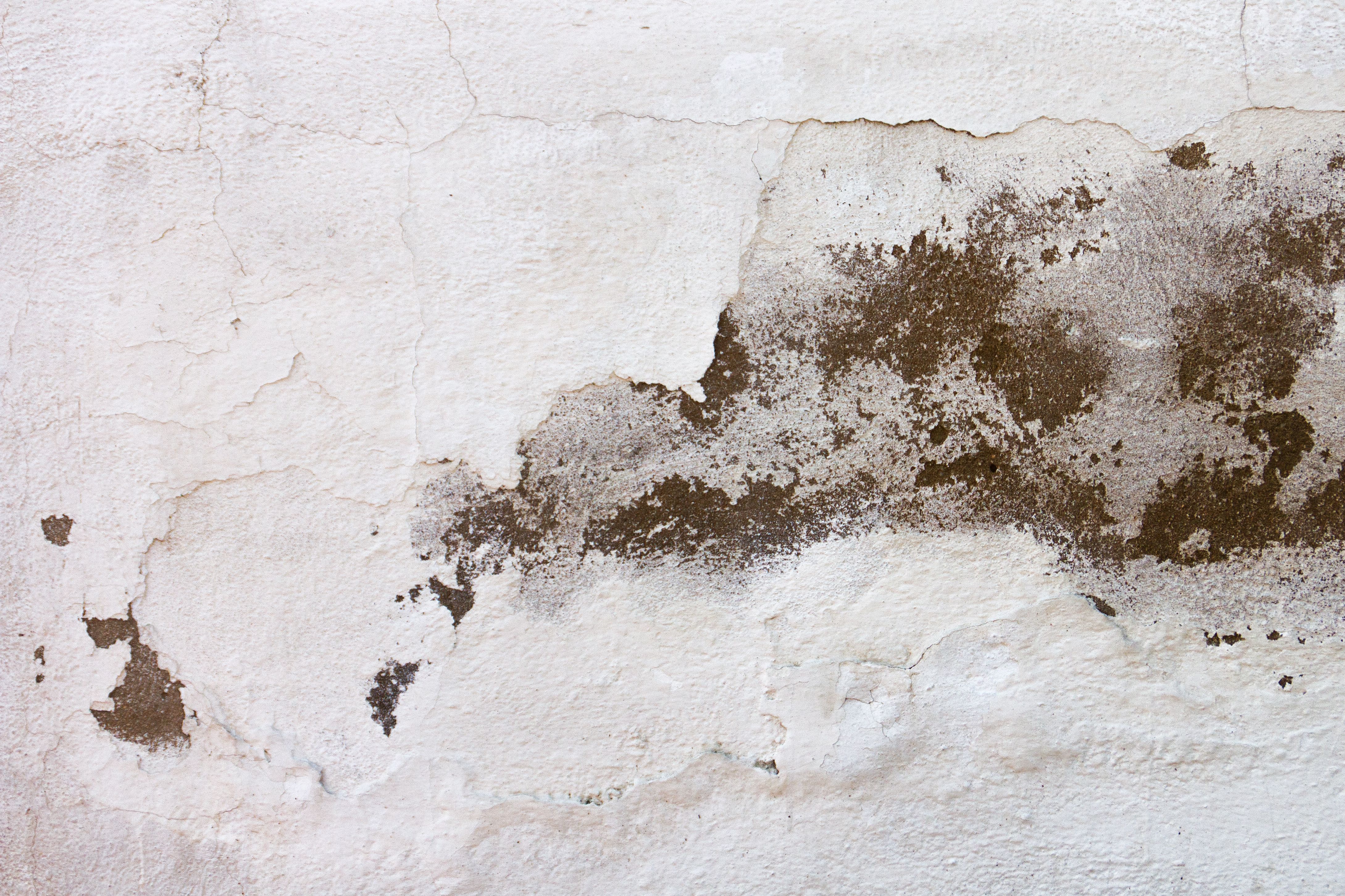 How to Fix Water Damaged Plaster Walls - HSS Blog