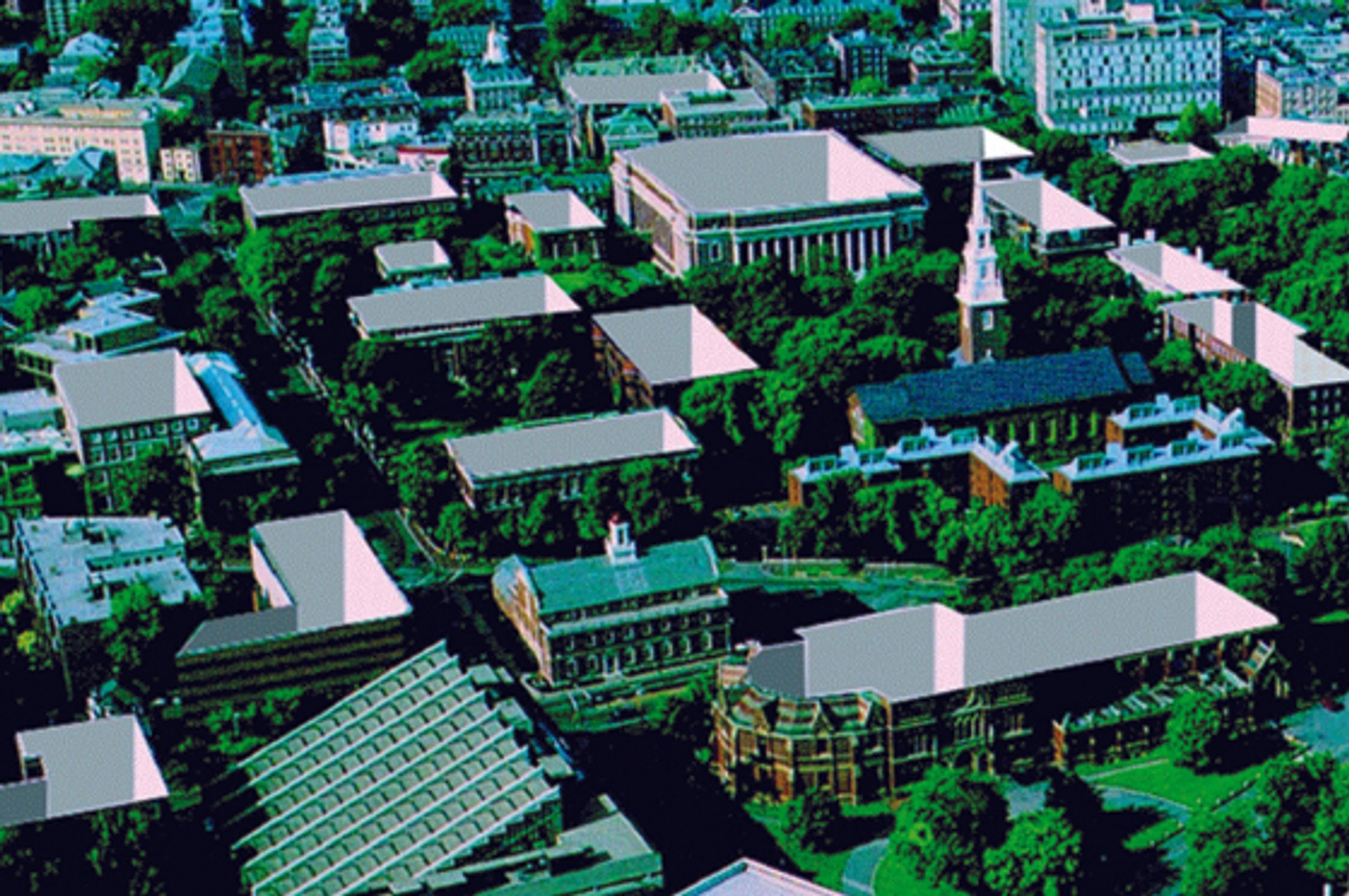 Harvard