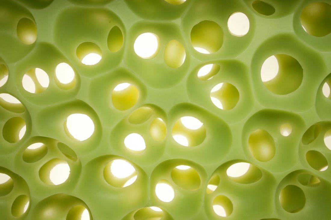Prada Sponge