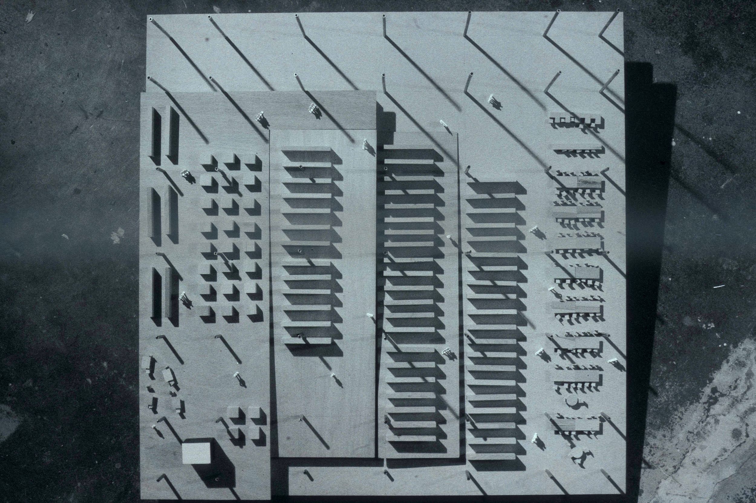Jussieu – Two Libraries