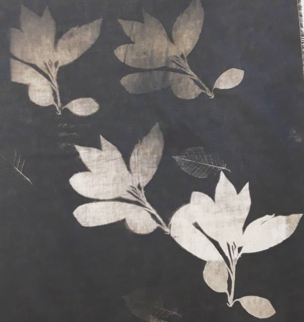 Capturing Natural Forms with Screenprinting | Leicester Print Workshop