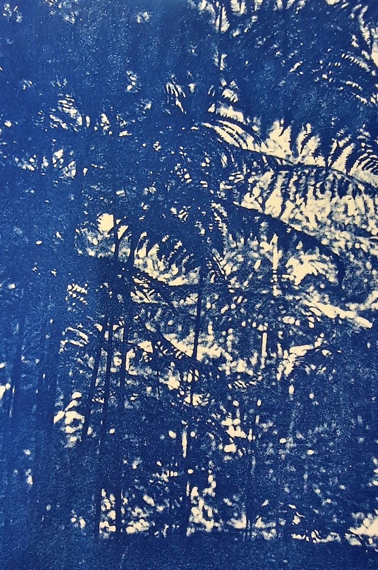 Toned Botanical Cyanotypes | Leicester Print Workshop