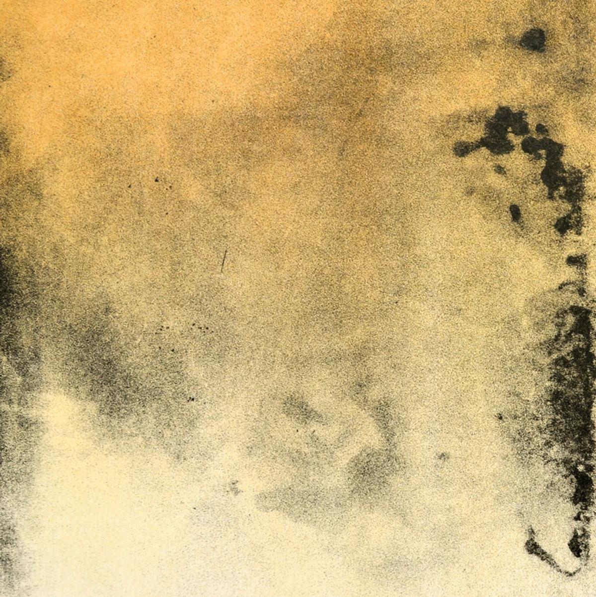 Monoprint: a technical tool kit | Leicester Print Workshop