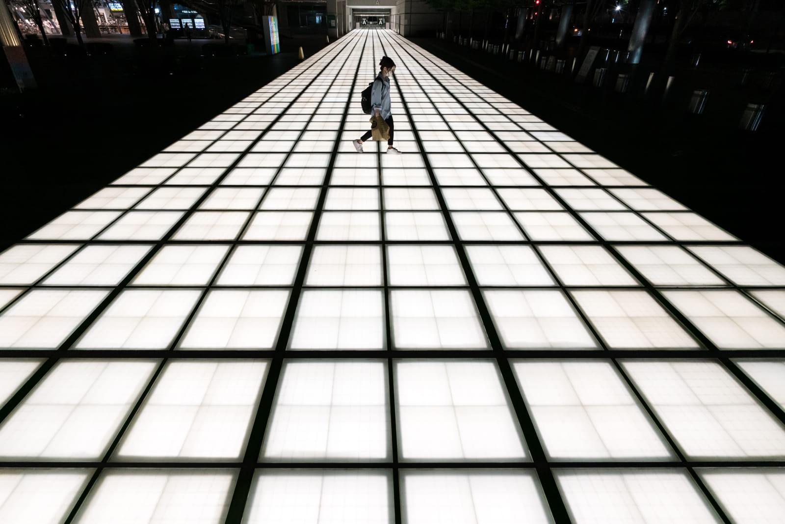 Japan and Australia’s economic security blind spot | Lowy Institute